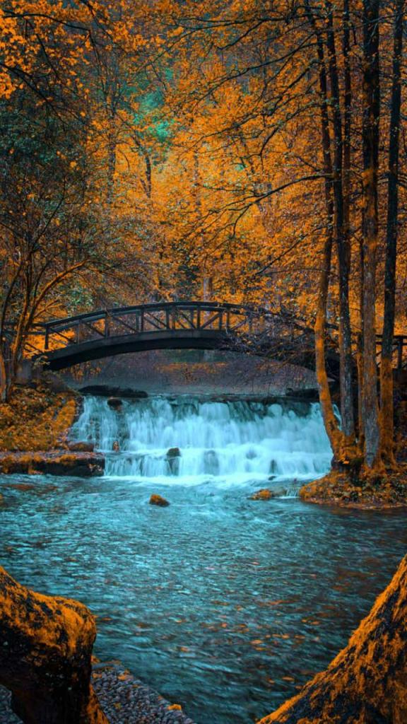 Good Morning » Dorcas Martin's Timeline Photos » Savior Connect