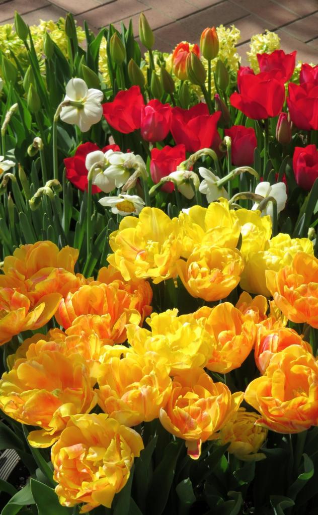 1aBlessed Resurrection Day 2022! » Tom Cubberly's Timeline Photos » Savior Connect