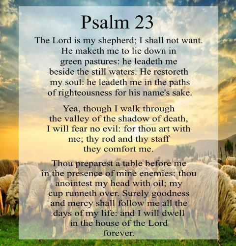 Leonida M's Timeline Photos » Savior Connect