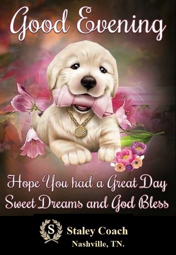 good-night-beautiful-meme » Wade C. Staley's Timeline Photos » Savior ...