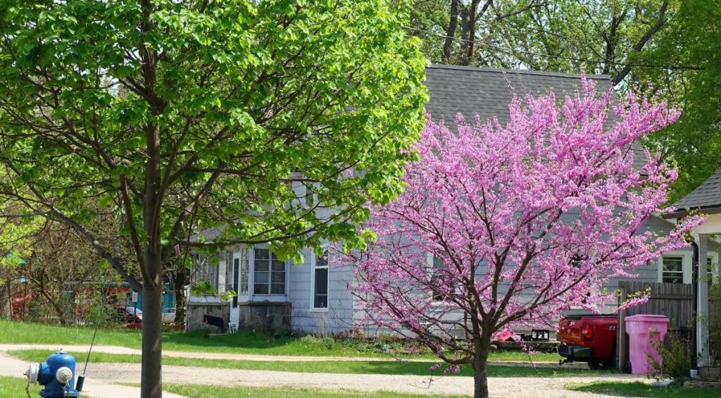 1a Spring Look 2022 » Tom Cubberly's Timeline Photos » Savior Connect