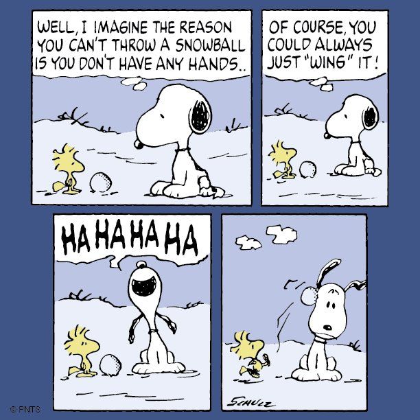 Snoopy Snowballs Diane Dunn S Timeline Photos Savior Connect