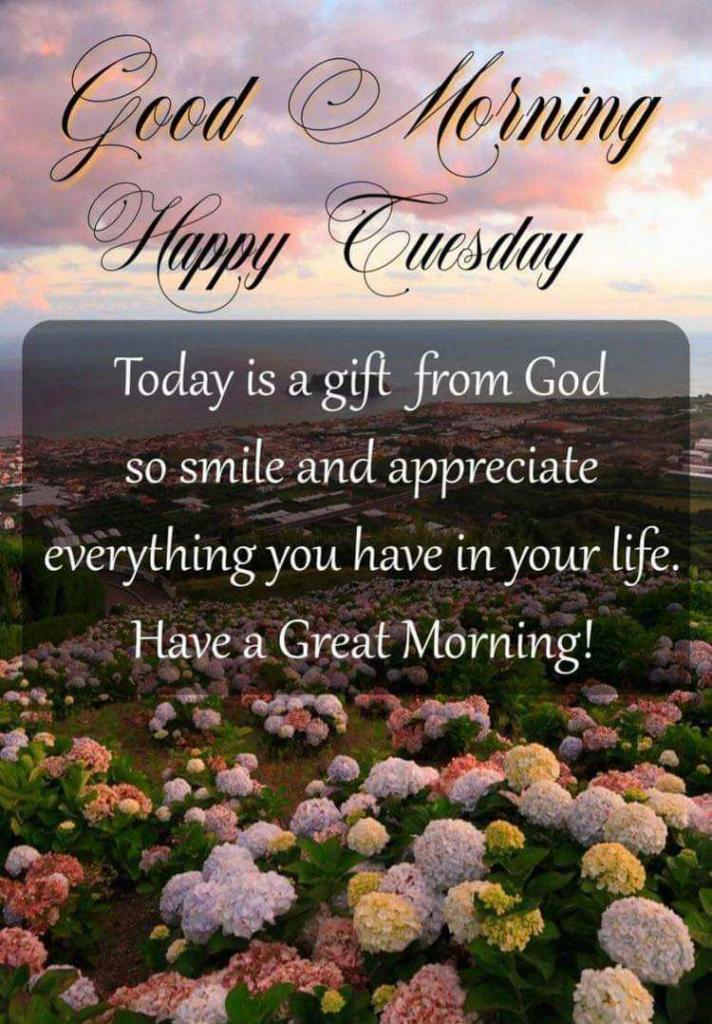 58f25d21-f246-43eb-8f12-3d9bee3953b1 » El Rey Carlos Coles's Timeline Photos » Savior Connect