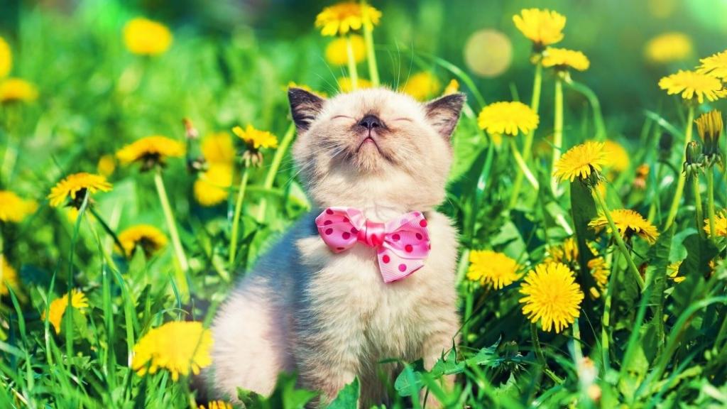 The Thing About Spring » MyChurchNotes.net 's Timeline Photos » Savior ...