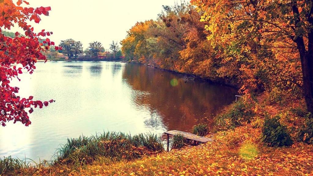 The Good Soil » MyChurchNotes.net 's Timeline Photos » Savior Connect