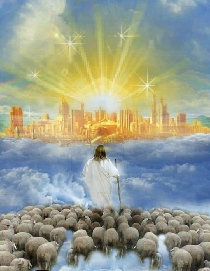 0bf0e0ce-bbdb-40fd-a9a3-3dba5e596be2 » Savior Connect