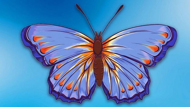 Cracking Our Chrysalis » MyChurchNotes.net 's Timeline Photos » Savior ...