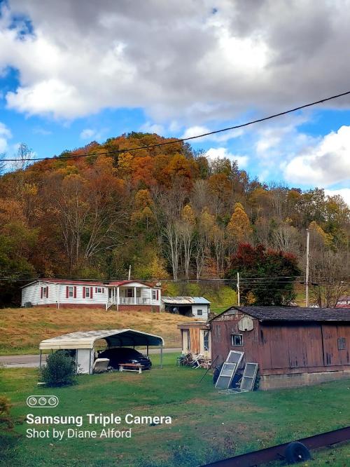 Diane Ringler Alford's Cover Photos » Savior Connect