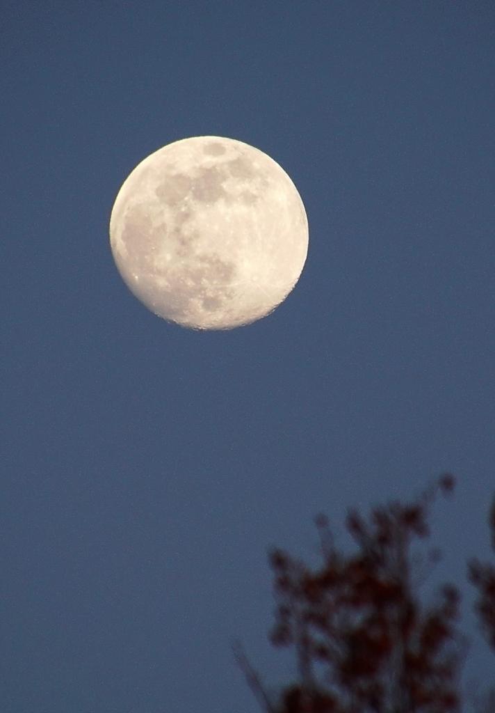 1a Full Moon Soon 2-3-2023 » Tom Cubberly's Timeline Photos » Savior Connect