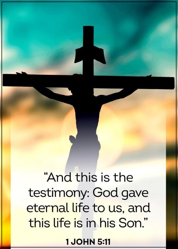 EA6B4491-5F9F-439E-8944-B8D37072CFFB » Stephenie's Timeline Photos » Savior Connect