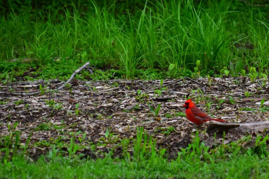 A8449544-58ED-439B-A174-C634F44A5FDC » Savior Connect