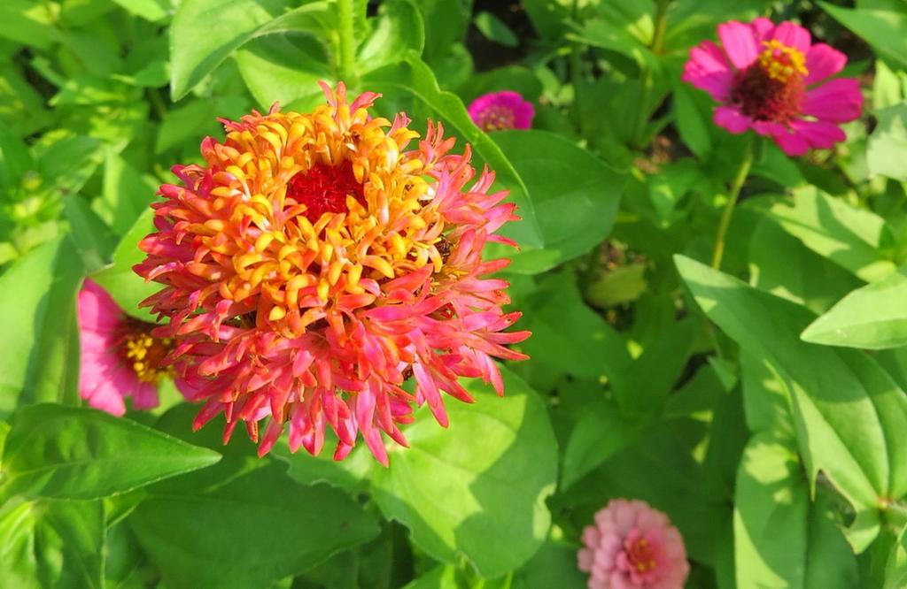 A Coat of Many Colours » Tom Cubberly's Timeline Photos » Savior Connect