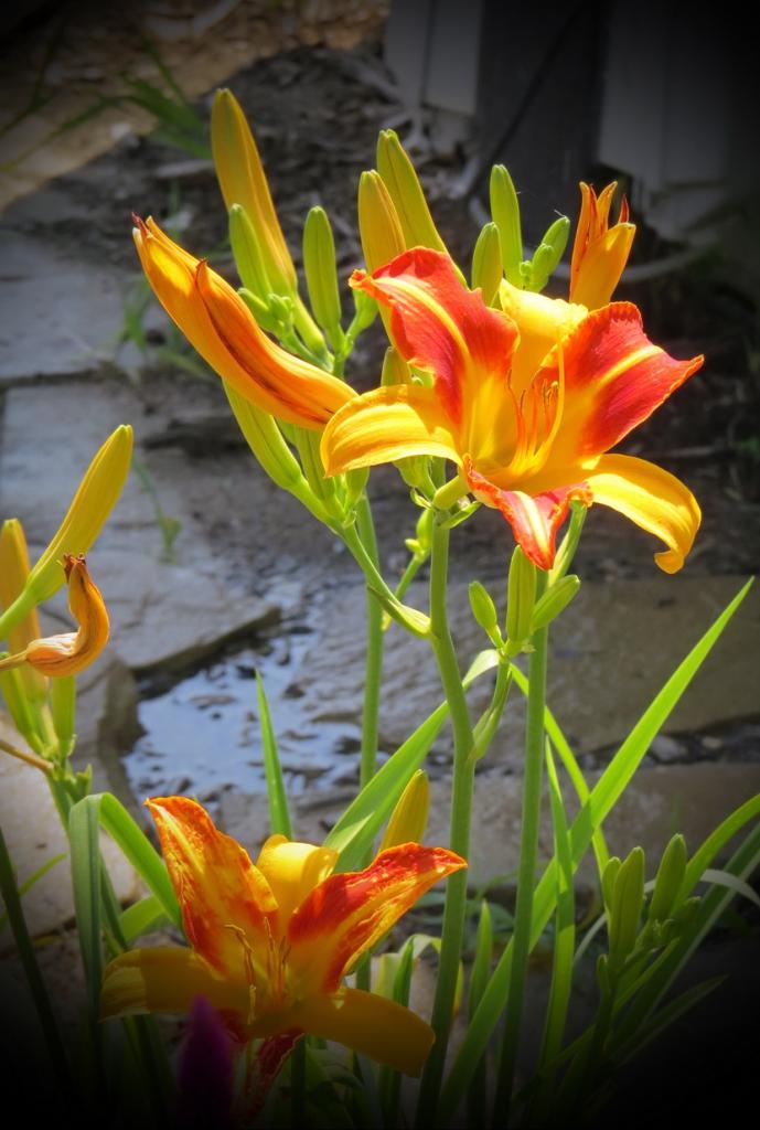 A Bright » Tom Cubberly's Timeline Photos » Savior Connect