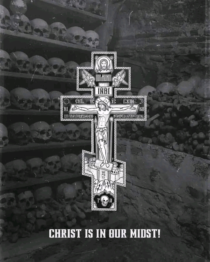 1698550456679 » Savior Connect