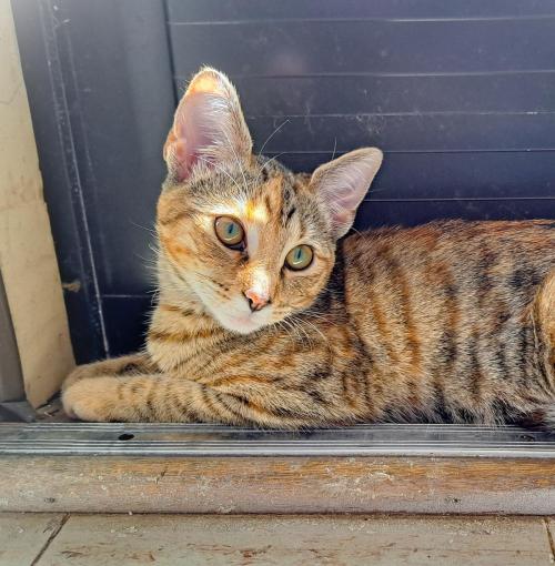 Brenda Morgan's Cover Photos » Savior Connect