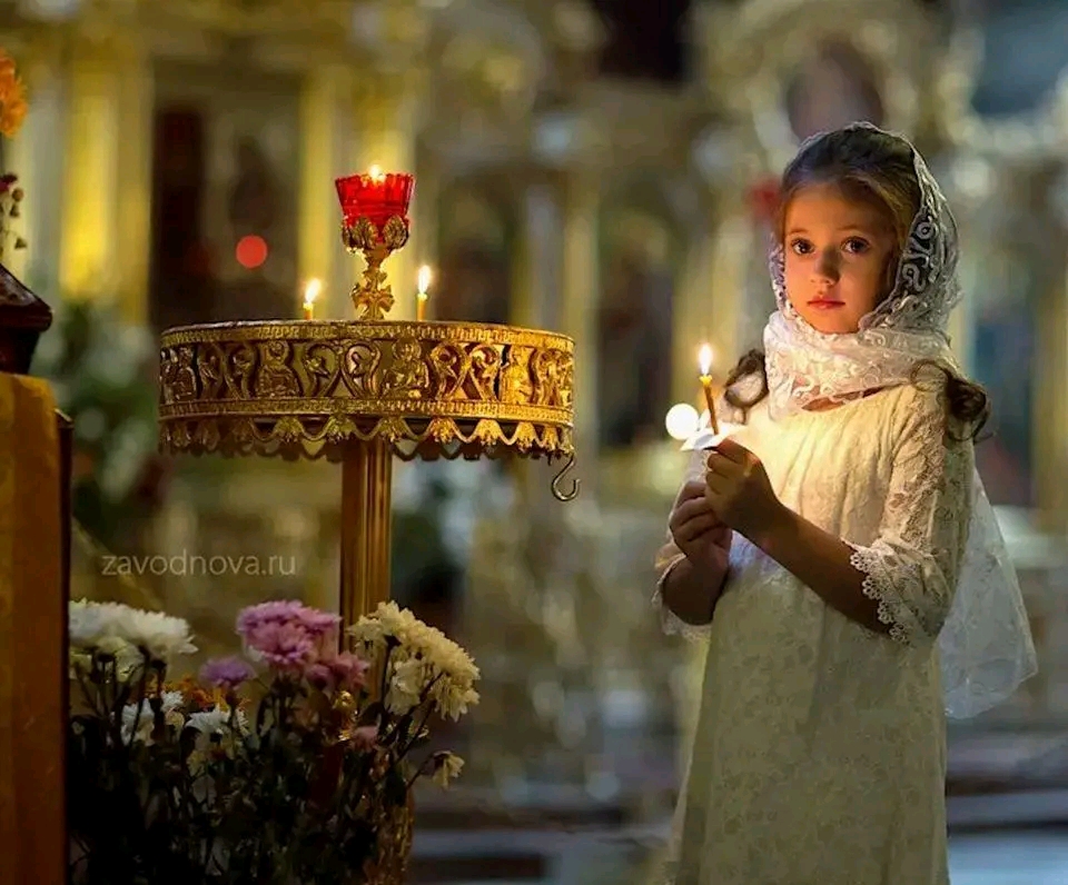 1000000377 » Savior Connect