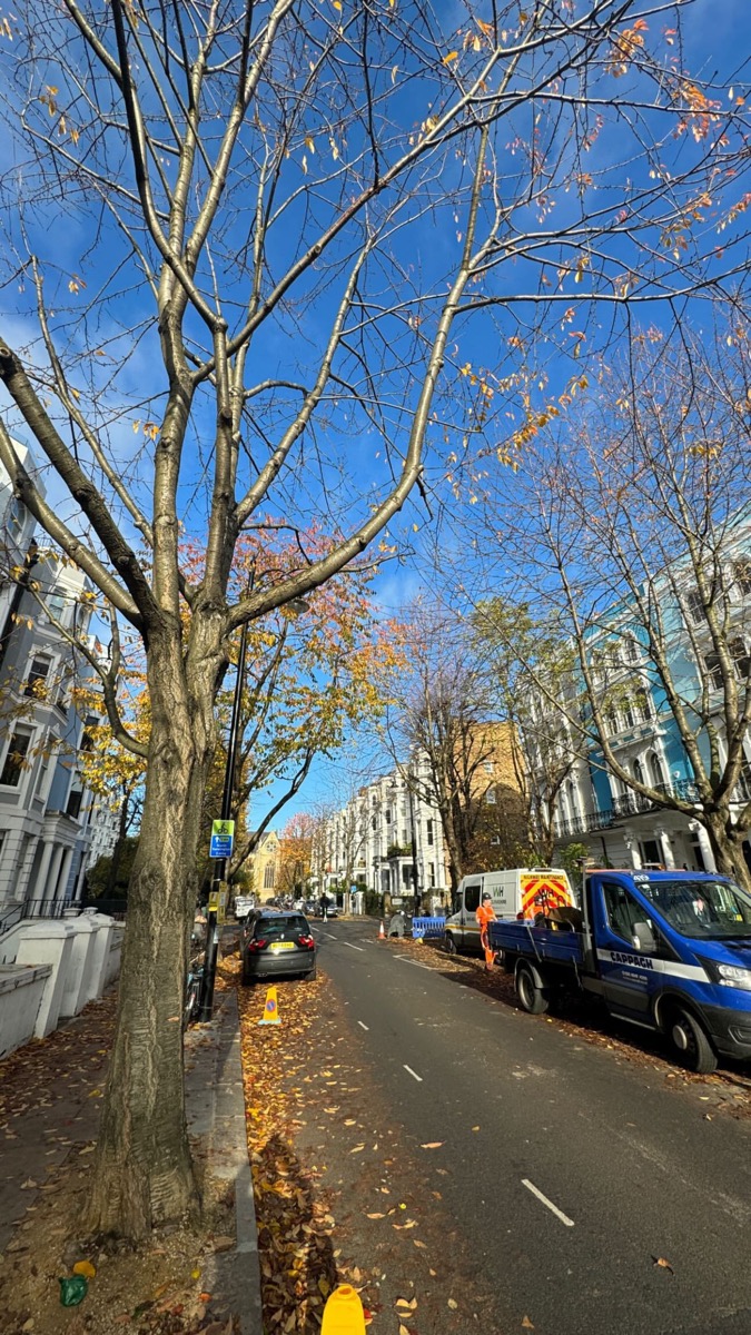 Michelle Nuamah's Photos » Savior Connect