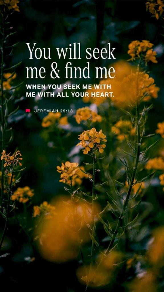 8cb8e31b-bcc9-400b-aa73-ce112424a080 » Beatrice Bruno's Timeline Photos ...