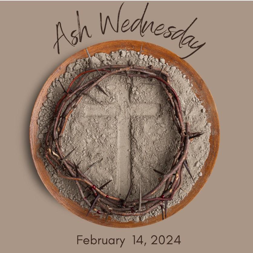 19cecb8c-bea2-4c04-a1a1-b1dce76a124e » Steven Martin Jr's Timeline ...