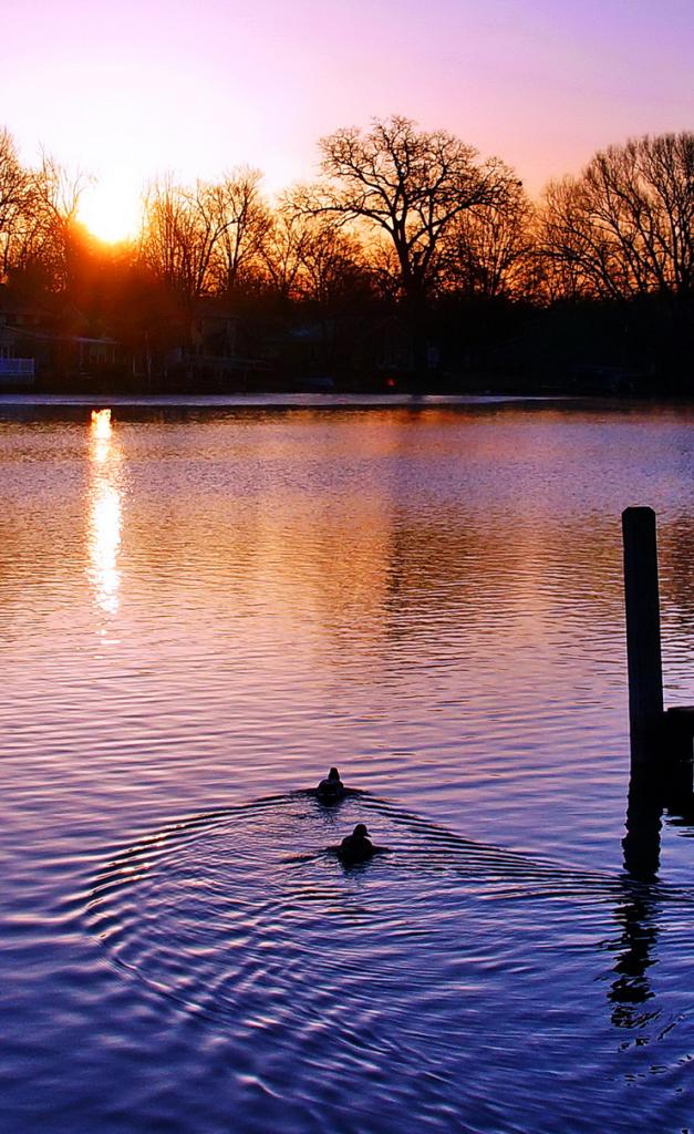 A Single File Sunrise » Tom Cubberly's Timeline Photos » Savior Connect