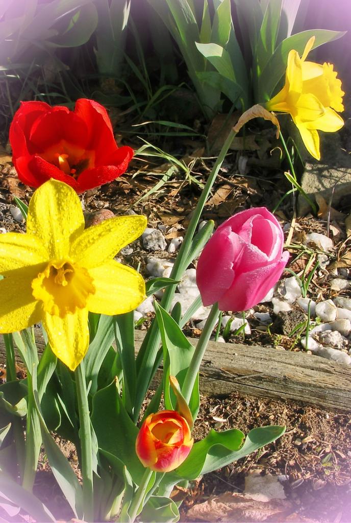 Good Friday Remembrance. » Tom Cubberly's Timeline Photos » Savior Connect