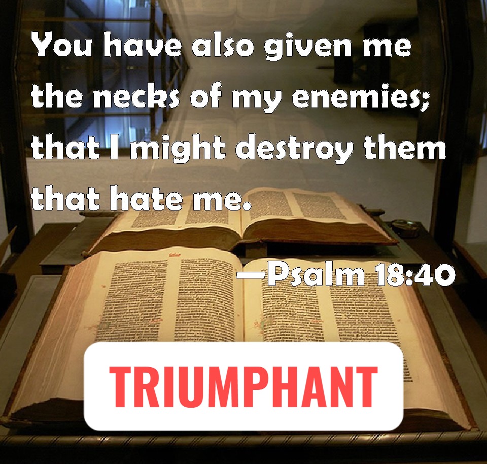 TRIUMPHANT » Savior Connect