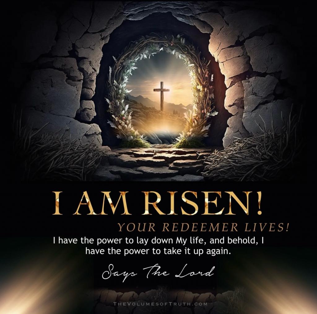 E2340CCA-15F9-461C-B9E7-A2E114C04182 » Savior Connect