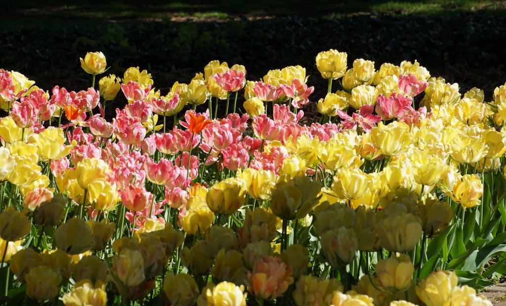 A Wave Praise » Tom Cubberly's Timeline Photos » Savior Connect