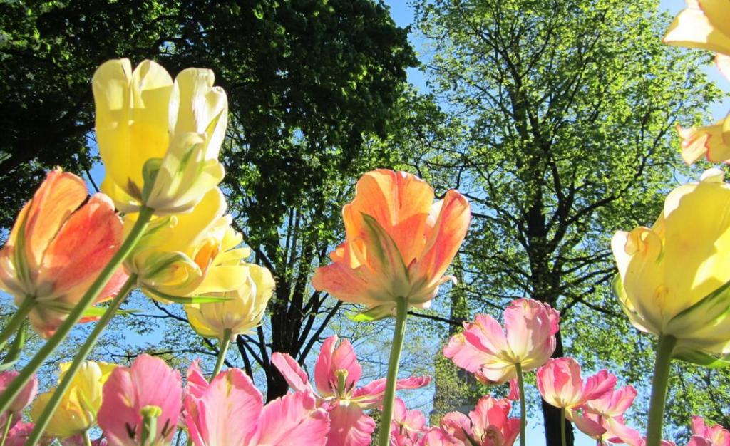 A Color Pick » Tom Cubberly's Timeline Photos » Savior Connect