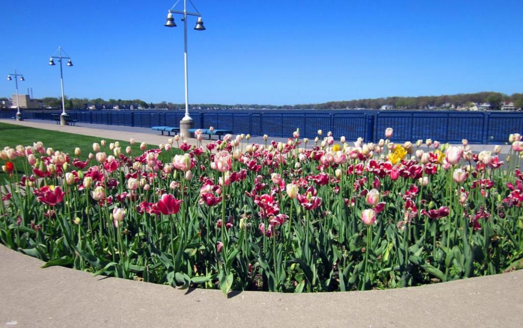 A Lake Macatawa » Tom Cubberly's Timeline Photos » Savior Connect